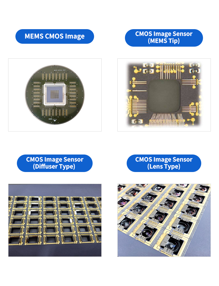 3D MEMS CIS > probe card_24 | 비이링크